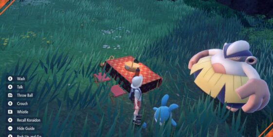 Pokémon Escarlata y Violeta: Cómo enseñar a Azumarill Belly Drum ...